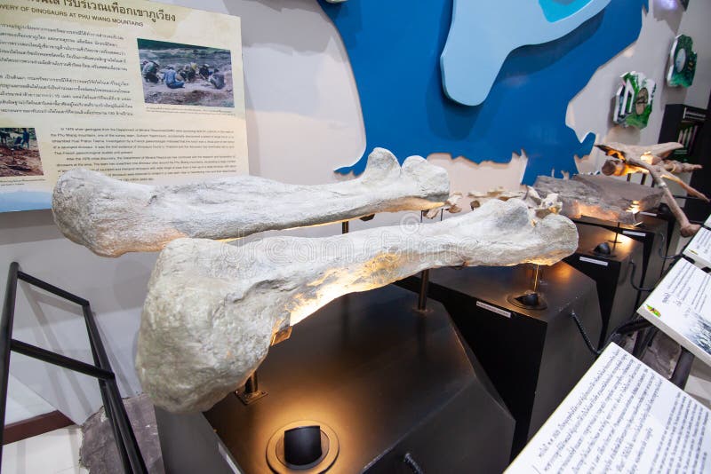 First Dinosaur Discovery in Phu Wiang Editorial Image - Image of ...