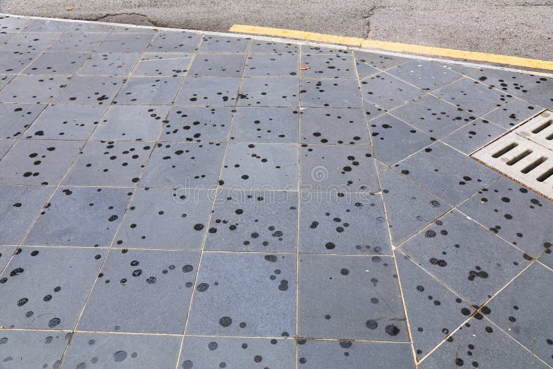 First Drops of Rain on City Sidewalk Stock Image - Image of malaysia ...