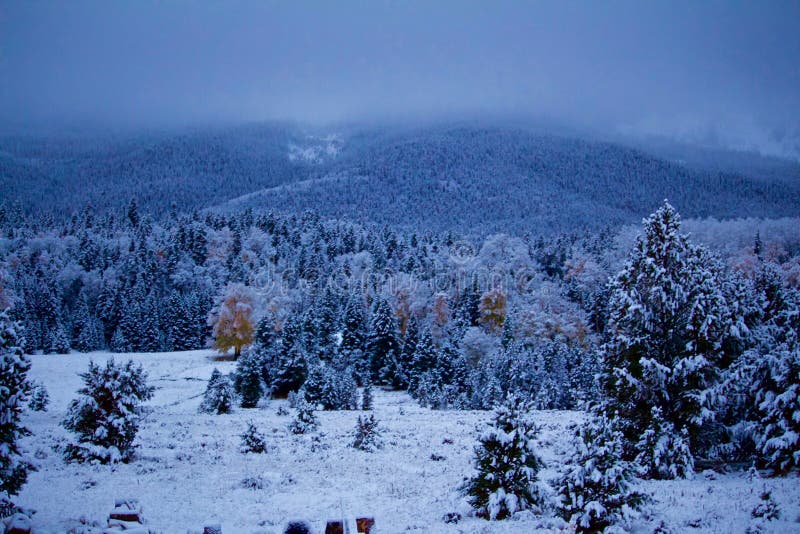 Firsdusting Stock Photos - Free & Royalty-Free Stock Photos from Dreamstime