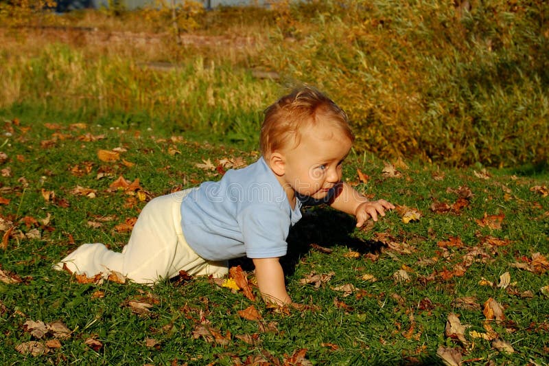 Baby bath stock image. Image of small, infant, petals - 20139157