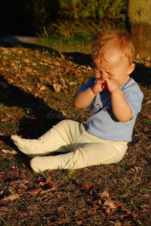 Baby bath stock image. Image of small, infant, petals - 20139157