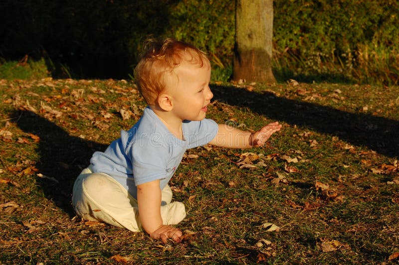 Baby bath stock image. Image of small, infant, petals - 20139157