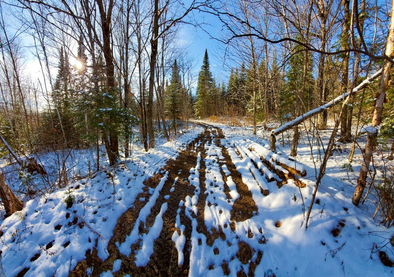 First Fall on the Mountain in Canadian Forest, Province of Quebec Stock ...