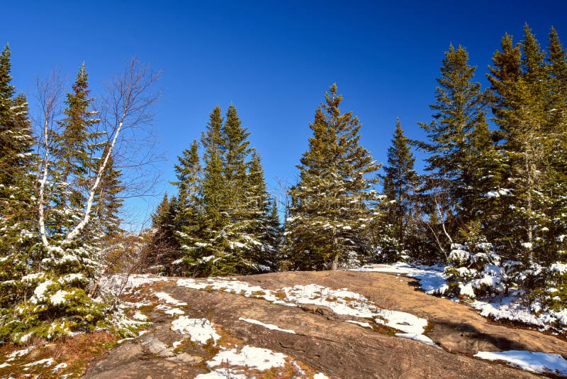 First Fall on the Mountain in Canadian Forest, Province of Quebec Stock ...