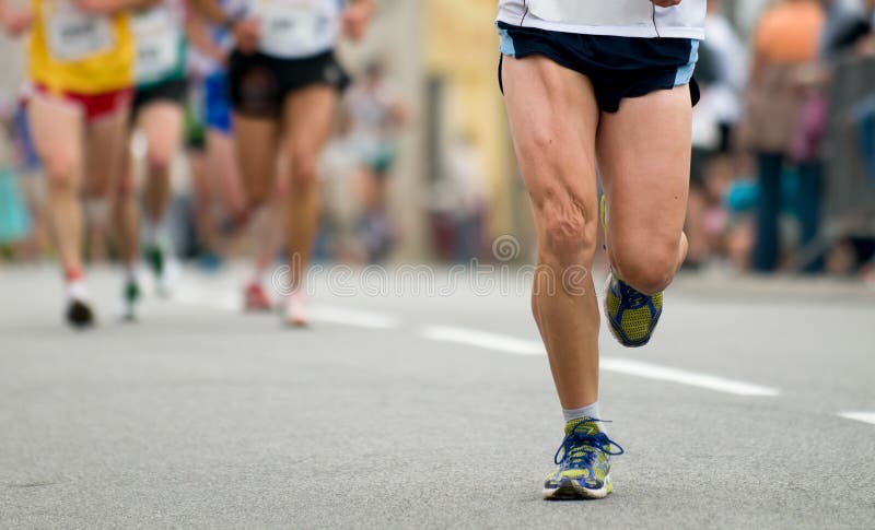 Foot race stock image. Image of hound, competition, grey - 15917557