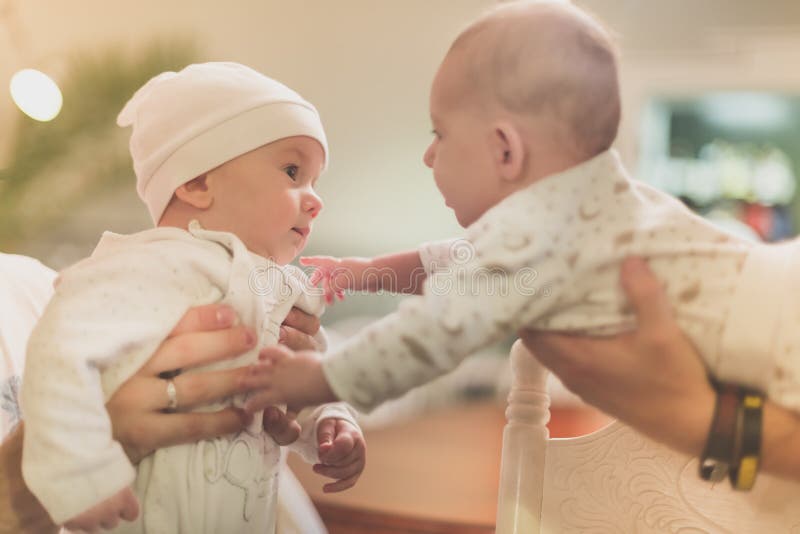 The First Friend of the Baby. Two Babies are Very Interested in Stock ...