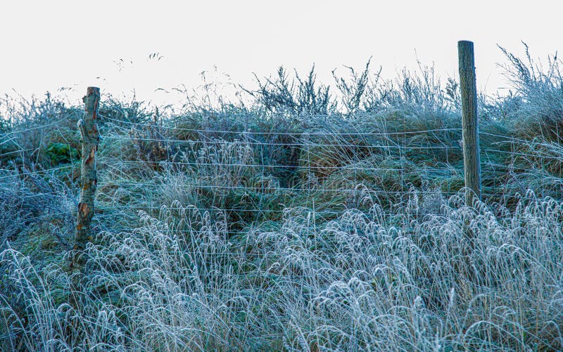 First Frost on Grass, Early Winter Stock Photo - Image of landscape ...