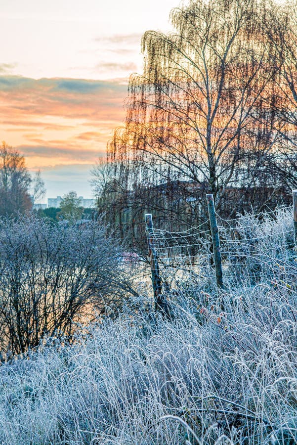 First Frost stock image. Image of contryside, frost, fall - 3618463