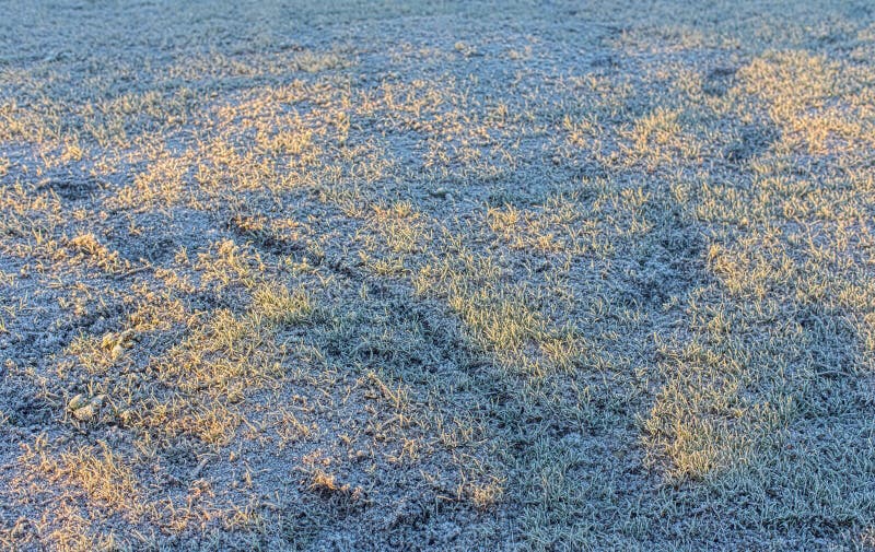 First frost stock photo. Image of crystal, morning, rime - 35599896