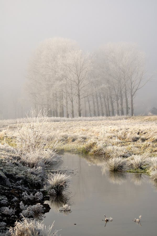 First Frost - Landscape stock image. Image of leaves, blue - 1596099