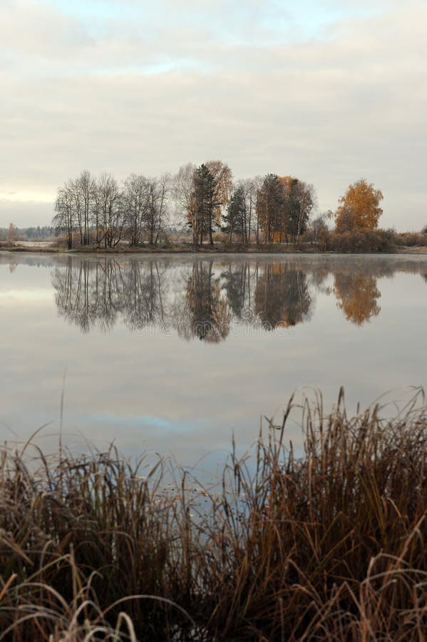 First frost stock photo. Image of freeze, autumn, field - 78524488