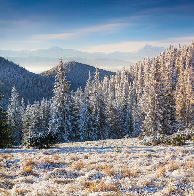 First Frost in the Mountains Stock Photo - Image of hoarfrost, climate ...