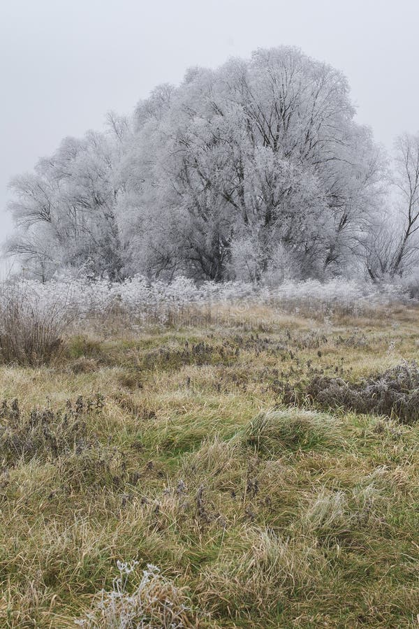 First frost stock photo. Image of blizzard, light, locations - 49251710