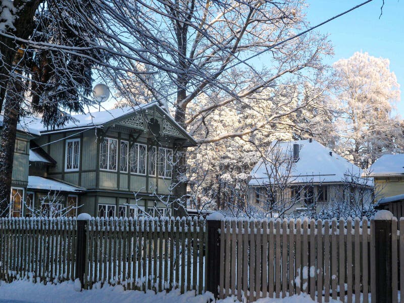 First Frosts, the Beginning of Winter. First Snow on Tree Branches ...