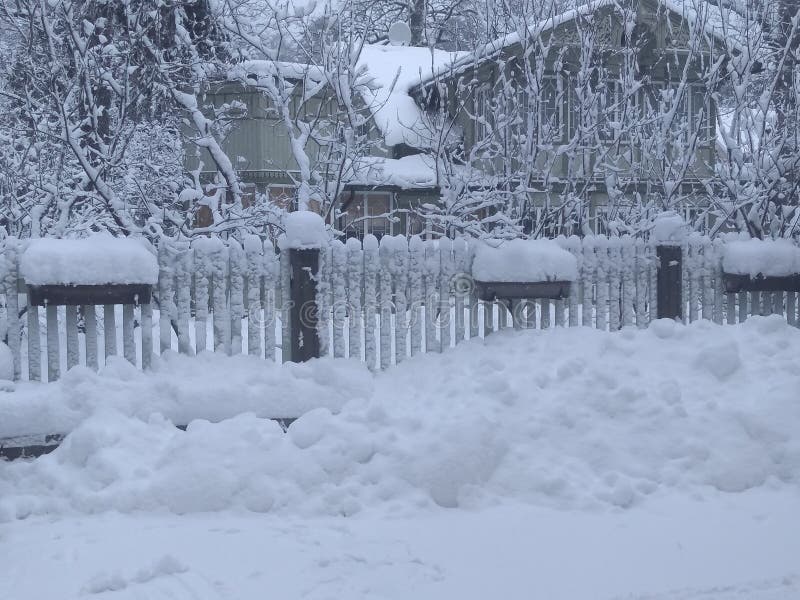 First Frosts, the Beginning of Winter. First Snow on Tree Branches ...