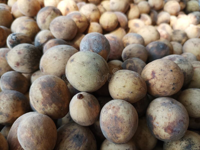 First, the Fruit is Small, Which is Rich in Benefits, Dont ...