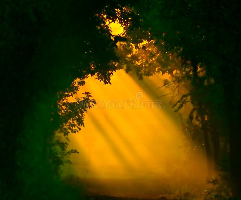 First Glimmer of Light stock image. Image of clarity - 25750633