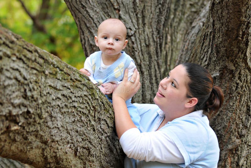 First High View stock photo. Image of little, branch, securing - 6961068