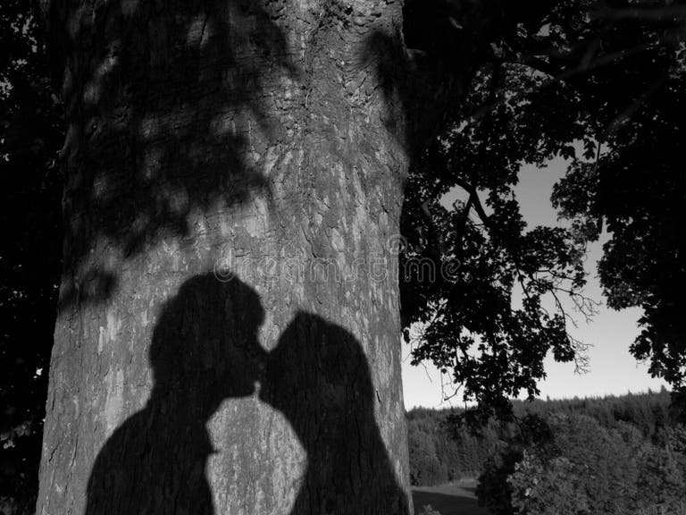 First kiss stock image. Image of white, black, love, kiss - 26594107