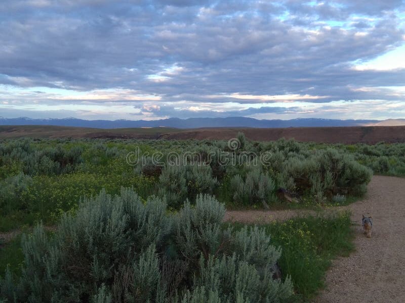 First light breaking day stock image. Image of light - 162105351