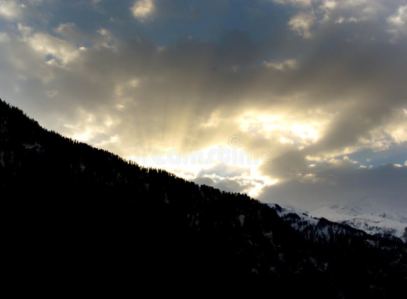 First light in the woods stock photo. Image of grass - 107952074