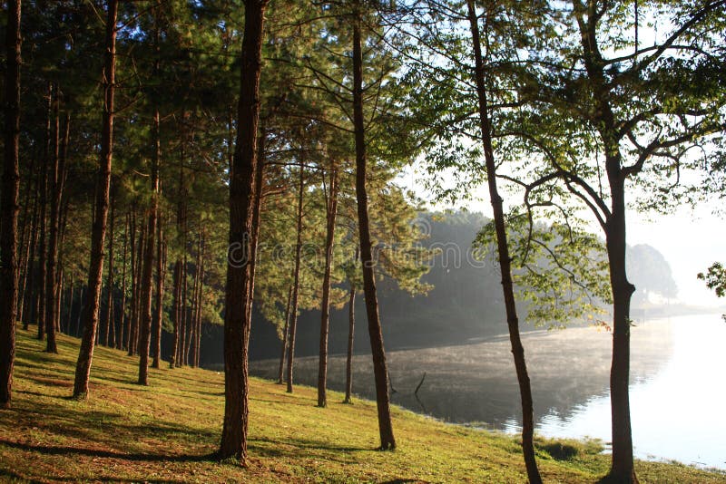 First light of day. stock image. Image of bleary, double - 91944903