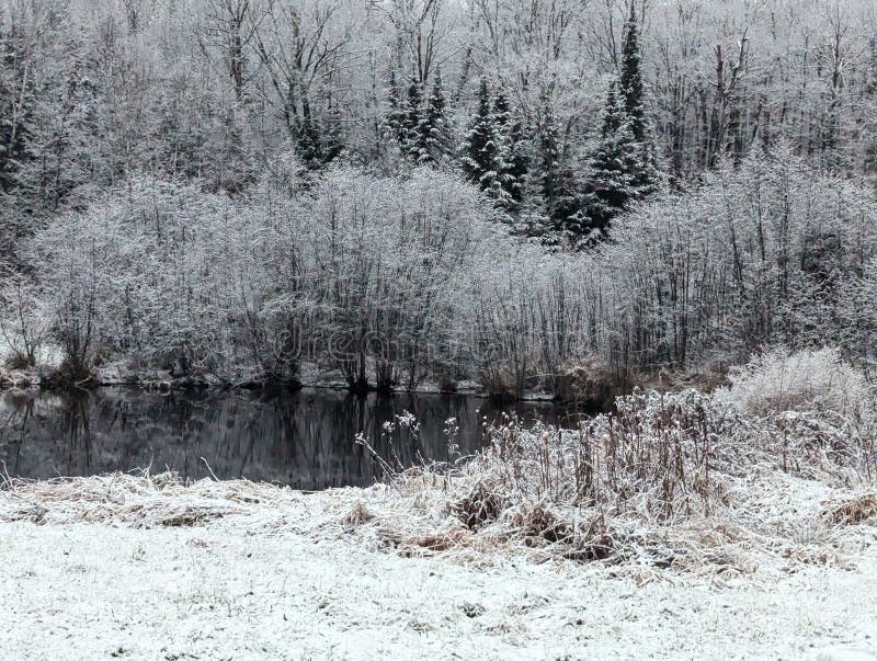 The First Light Snowfall of the Season Stock Image - Image of snow ...
