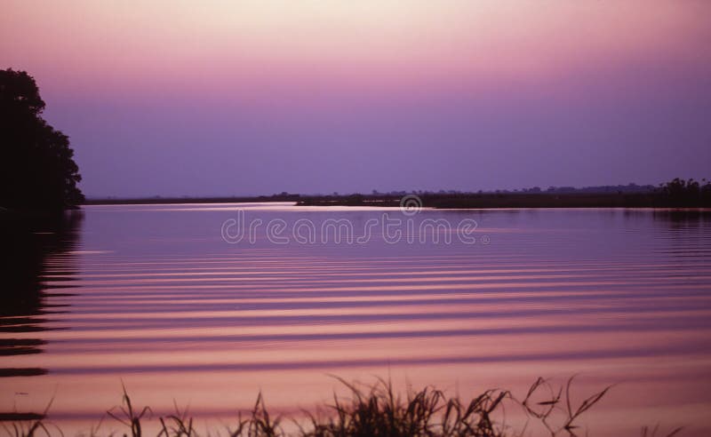 Dawn on Zambezi River stock photo. Image of scenic, botswans - 269595772