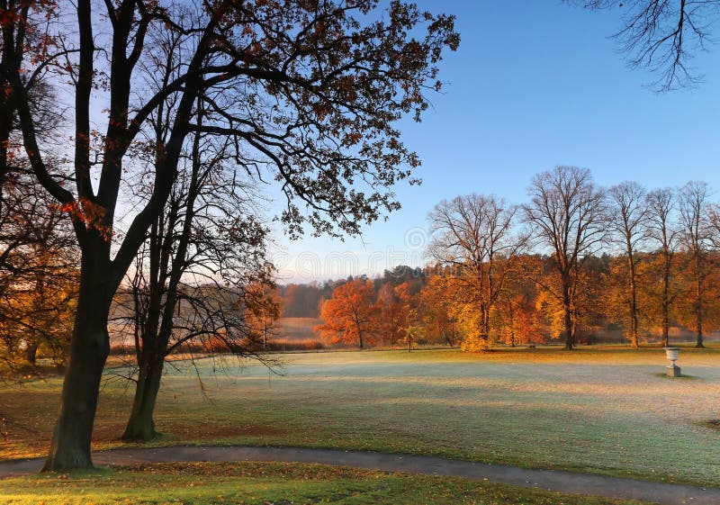 First Morning Light in the Park in October Stock Photo - Image of ...