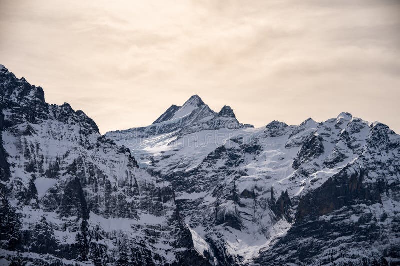 First Mountain in Grindelwald with Alpine Views Switzerland Stock Image ...