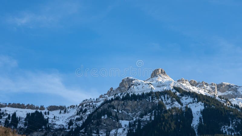 First Mountain in Grindelwald with Alpine Views Switzerland Stock Image ...