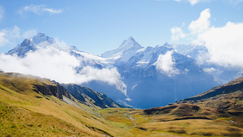 First Mountains Switzerland Stock Image - Image of grassland, tree ...