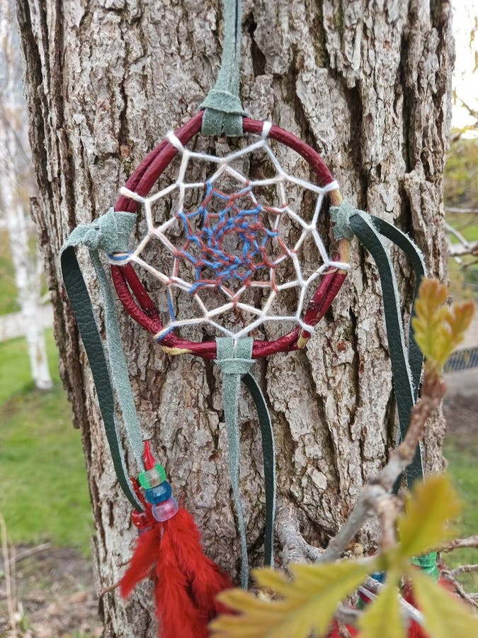 First Nations Dreamcatcher Hanging on a Tree Trunk Outside Stock Image ...