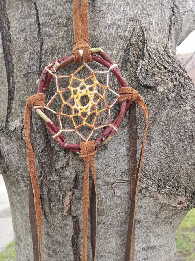 First Nations Unique Dreamcatcher Hanging Outside on a Tree Trunk Stock ...
