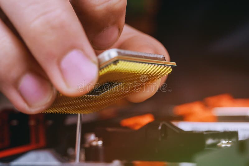 First Person View Hand Holding a Computer Processor Chip on Motherboard ...