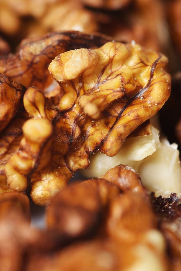 First Quality Nut Kernel stock image. Image of studio - 48976625