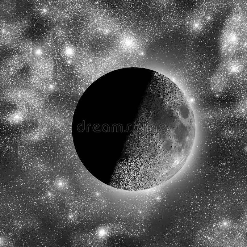 First Quarter Vector Linear Icon Isolated on Transparent Background ...