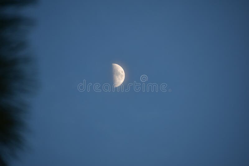 First Quarter of the Moon at Dusk Stock Photo - Image of beach, palm ...