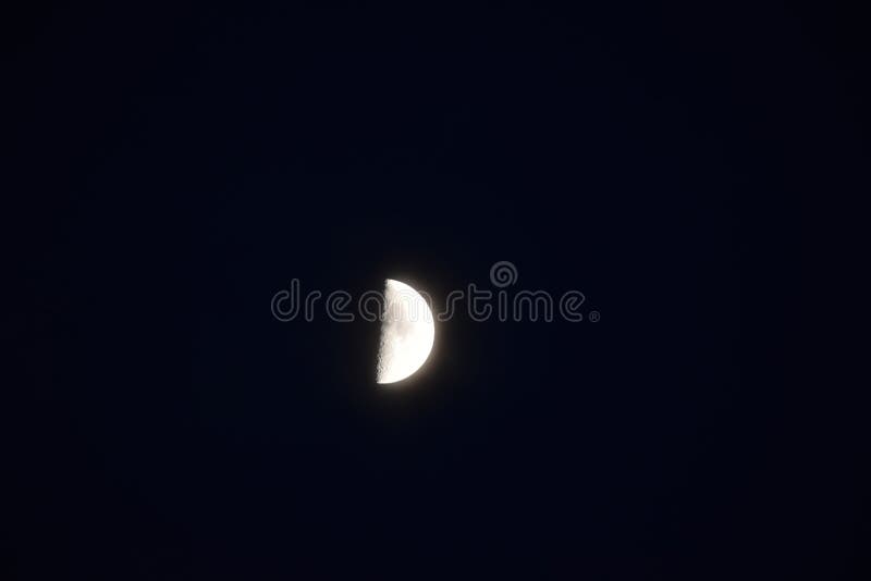 First Quarter of the Moon at Dusk Stock Image - Image of nature, palm ...