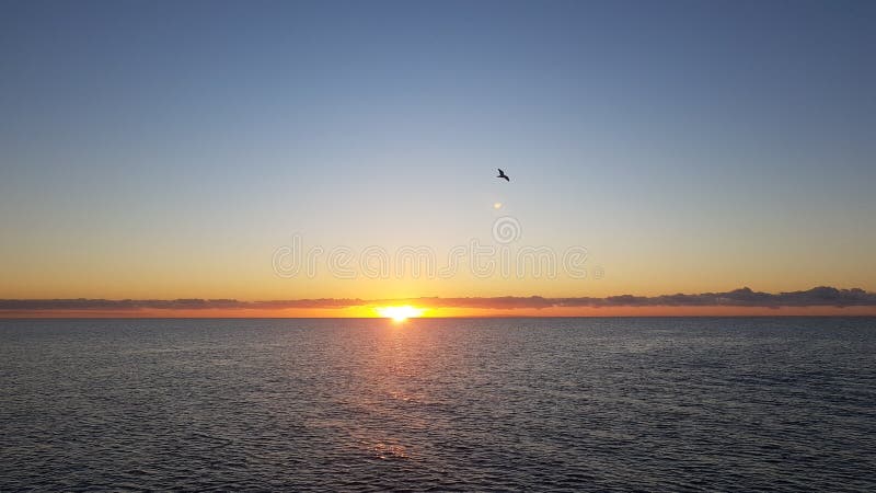 First Rays of the Morning Sun Stock Photo - Image of rays, sunrise ...