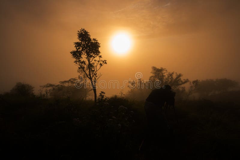 The First Rays of the Rising Sun Stock Image - Image of dawn, haze ...