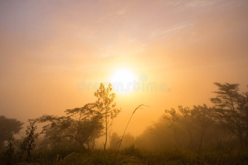 The First Rays of the Rising Sun Stock Image - Image of reflection ...