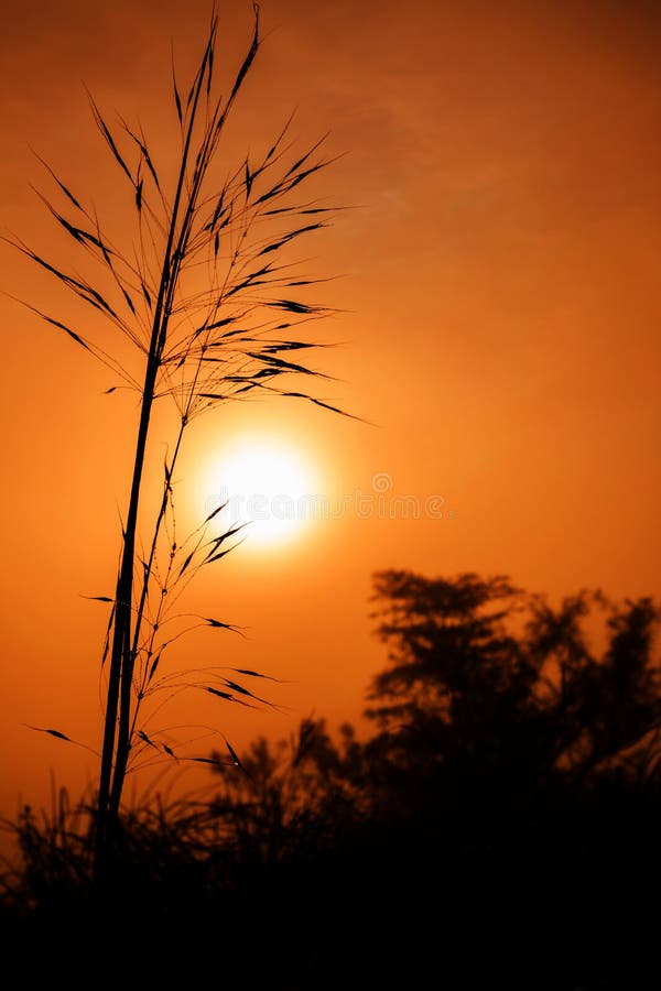 The First Rays of the Rising Sun Stock Image - Image of lake, light ...