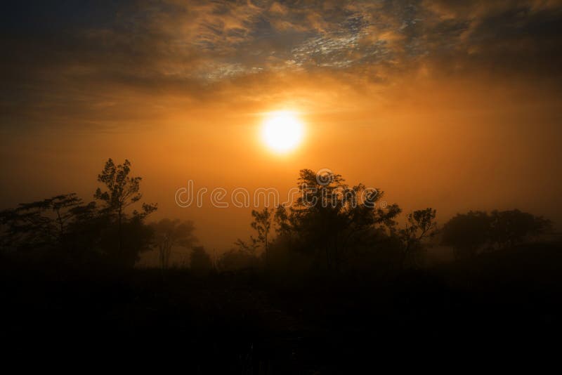 The First Rays of the Rising Sun Stock Photo - Image of colorful ...