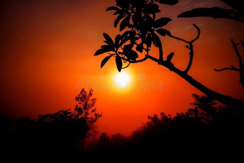 The First Rays of the Rising Sun Stock Image - Image of cloud ...