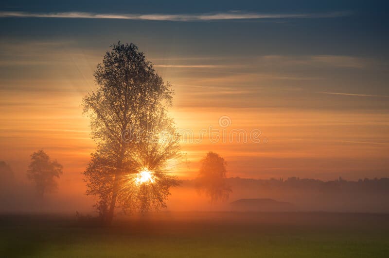 The First Rays of the Rising Sun Stock Photo - Image of orange, magic ...