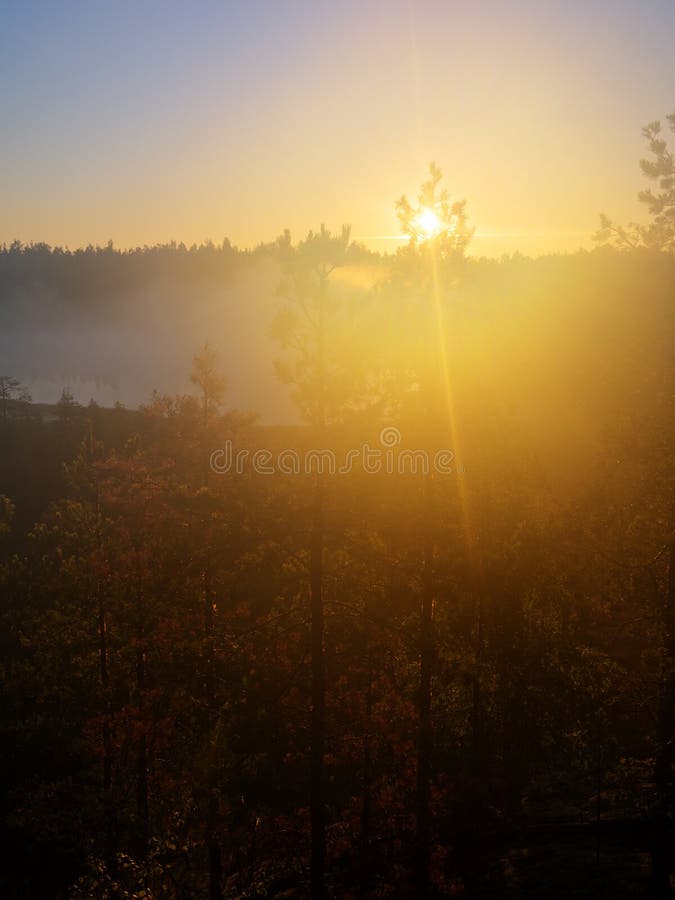 First rays of the sun stock photo. Image of woodland - 155781764