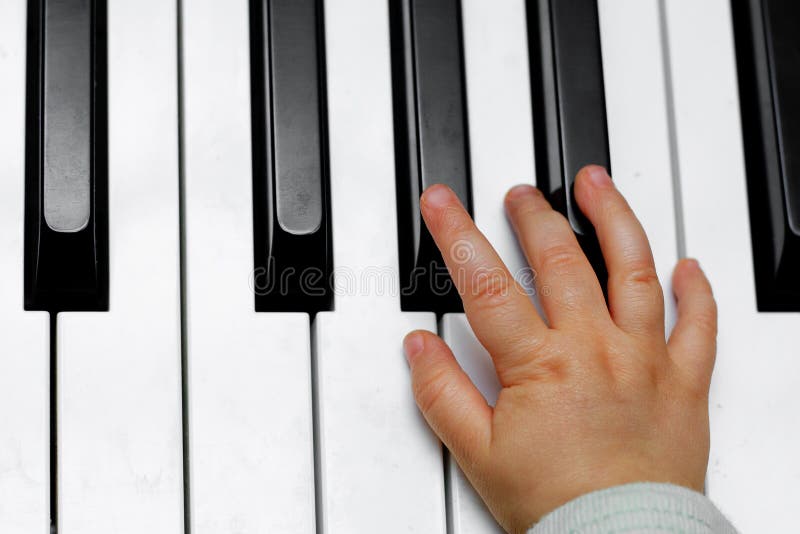 First Scales stock photo. Image of precocious, ebony - 23318784