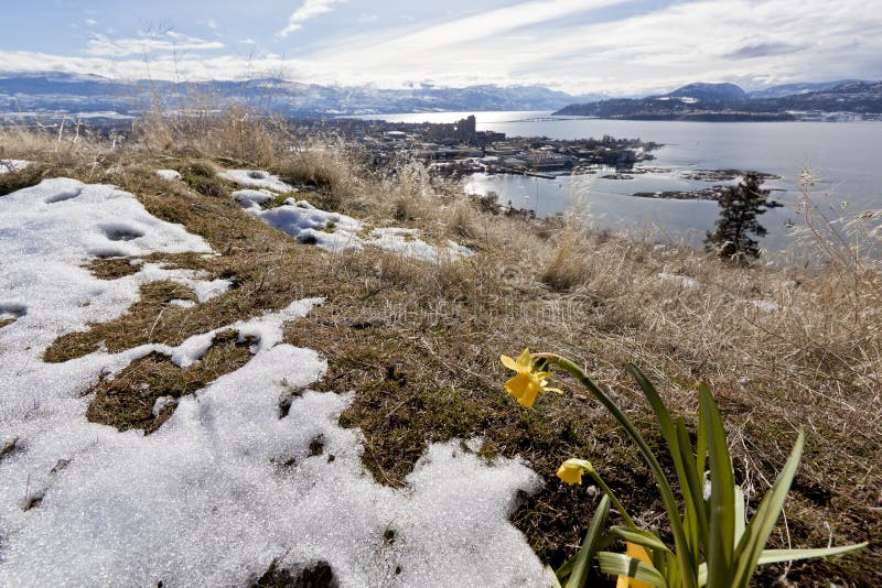 First Sign of Spring stock photo. Image of melt, british - 29176326
