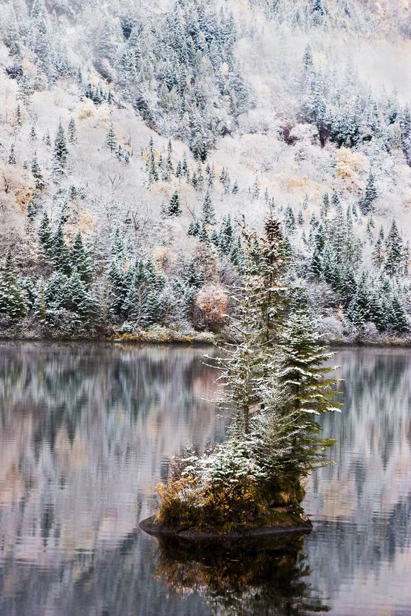 First snow stock image. Image of savage, fall, quebec - 11322447